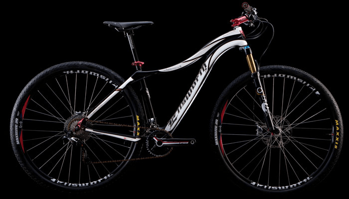 Ellsworth Enlightenment X9 2013 - Specifications | Reviews | Shops